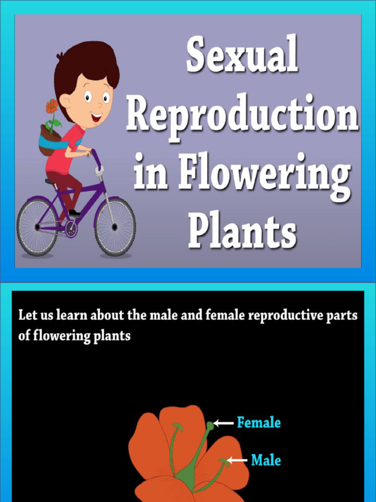 Grade 5 PPT - Science - Q2 - W5 - Sexual Reproduction in Flowering ...