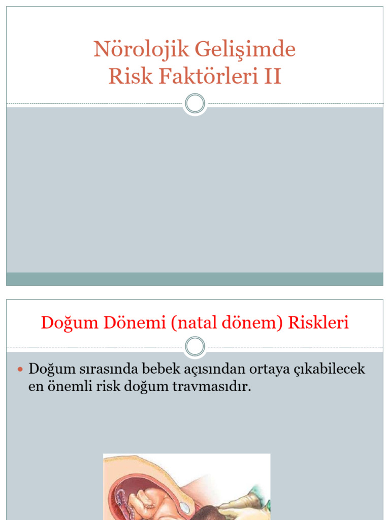 NG 6 Risk Faktorleri II 114158 | PDF