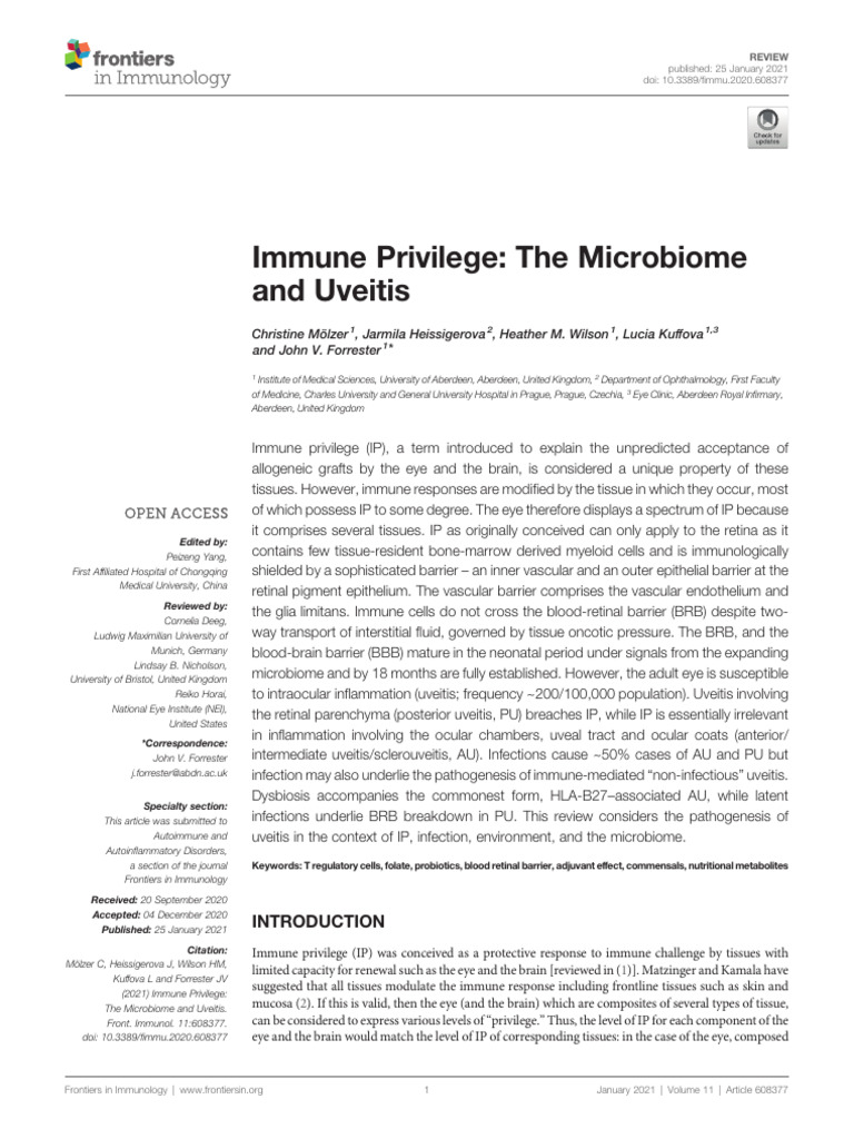 Immune Privilege-The Microbiome and Uveitis | PDF | Immune System ...