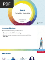 Biology - S5 - Term 1 - Project 1 - Design DNA Model & Compare It To ...