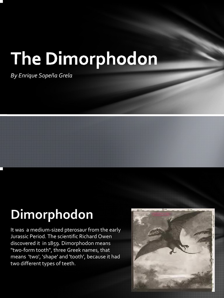 Dimorphodon: Early Jurassic Pterosaur Facts | PDF | Young Adult