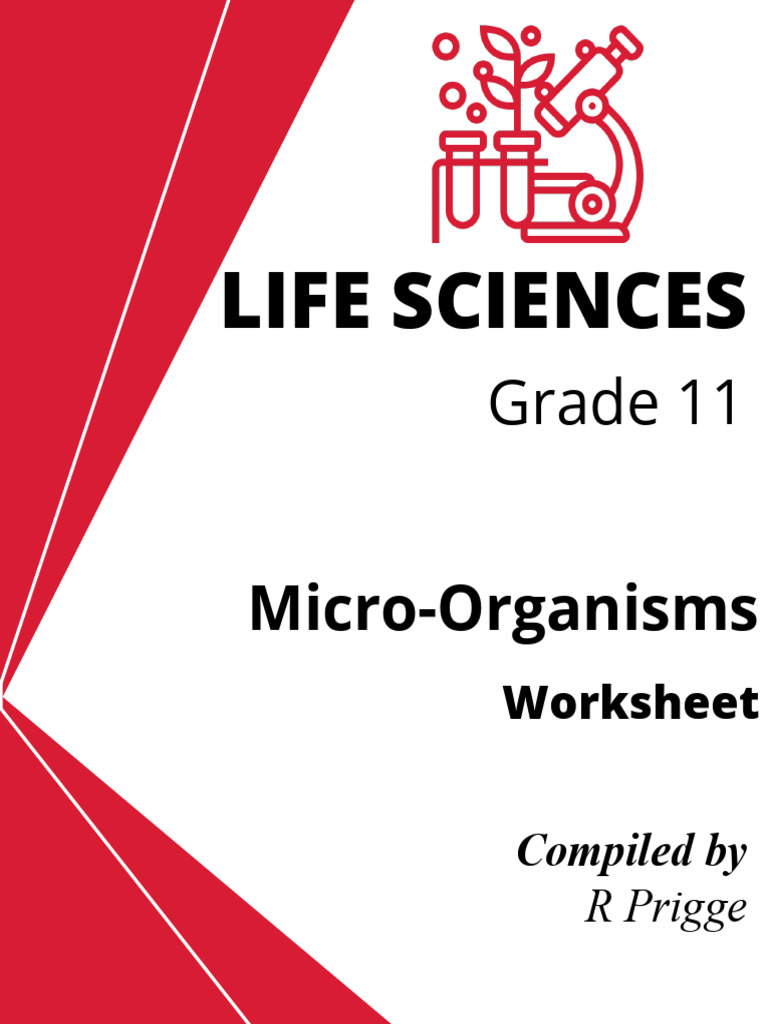 Gr11 LS MicroOrganisms Worksheet | PDF | Bacteria | Microorganism
