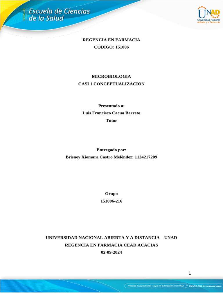 CASO 1 CONCEPTUALIZACION | PDF