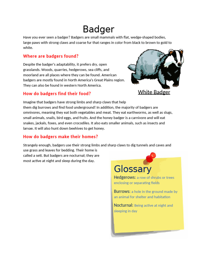 Badger Fact File: Habitat and Diet | PDF | Science & Mathematics ...