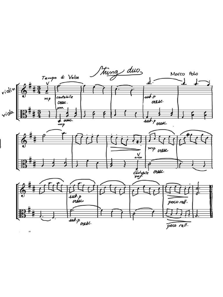 String Duo Assignment | PDF