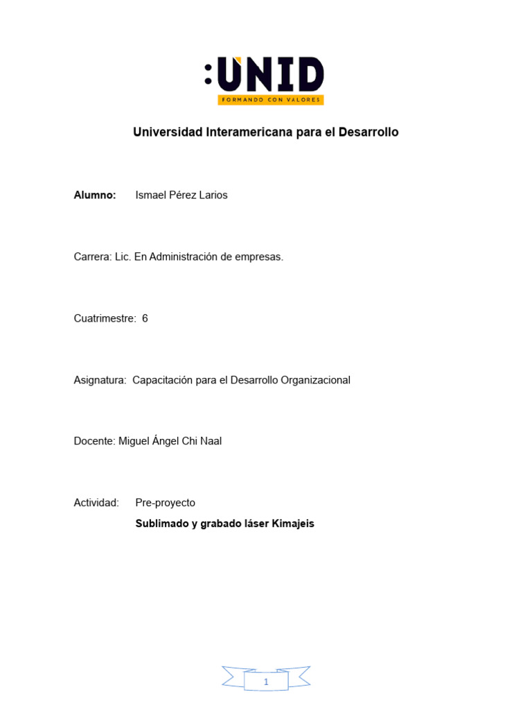 Pre Proyecto | PDF | Marketing | Producto (Negocio)