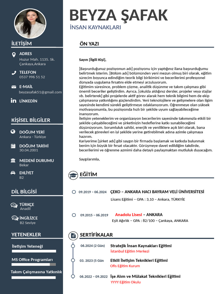 Ozgecmis-Ornegi 2 | PDF