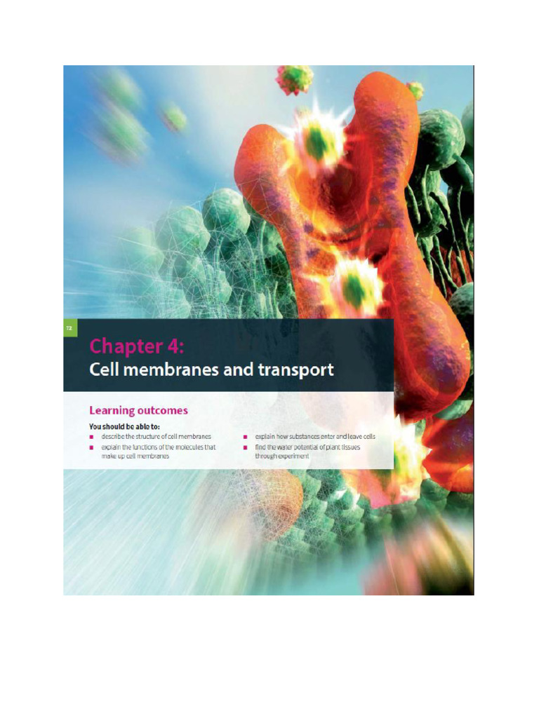 Cambridge Chapter 4 Cell Membranes and Transport New Ve | PDF