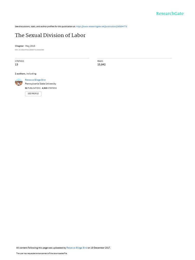 Rethinking Sexual Division of Labor | PDF | Labour Economics | Patriarchy