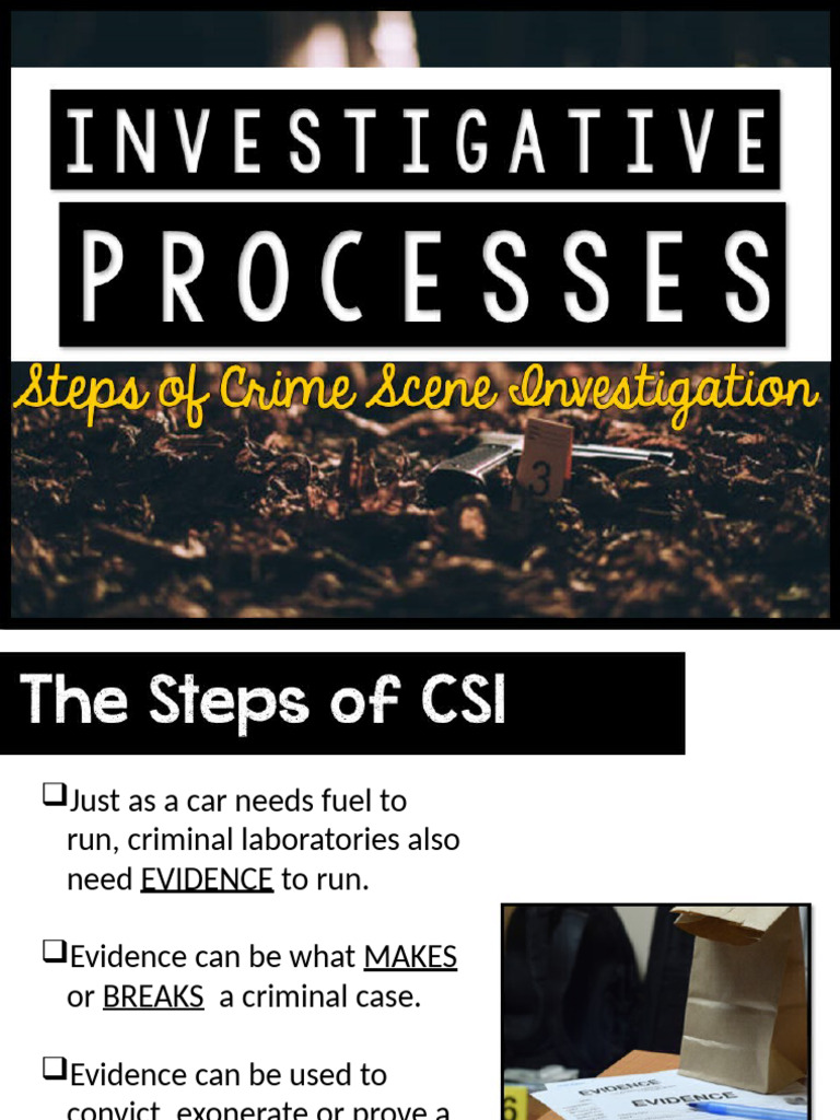 Investigative Processes Lesson | PDF | Crime Scene | Forensic Science