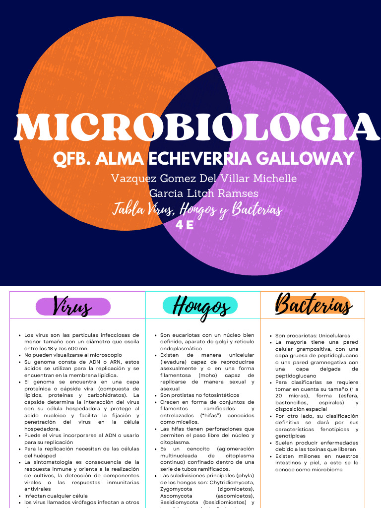 6.tabla Virus, Hongos y Bacterias | PDF | Virus | Las bacterias