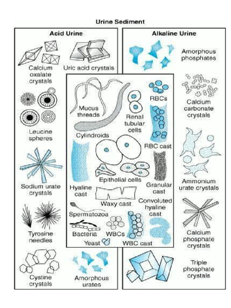 Lab Manual | PDF