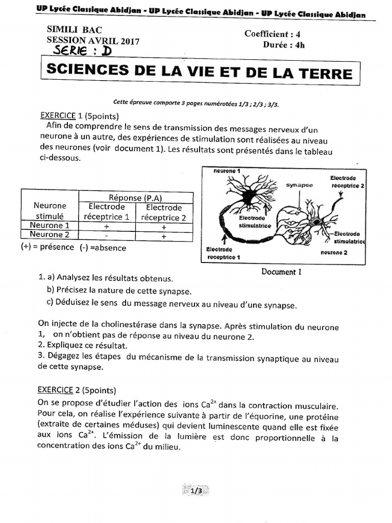 Sujet SVT TD | PDF