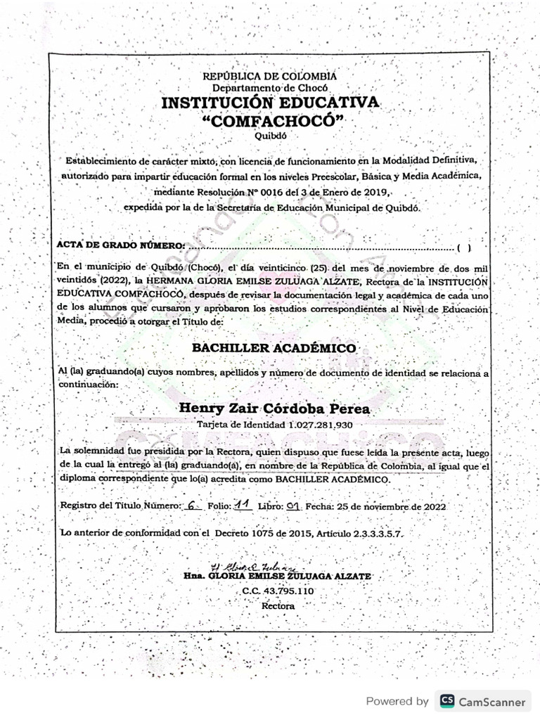 Acta de Bachiller | PDF