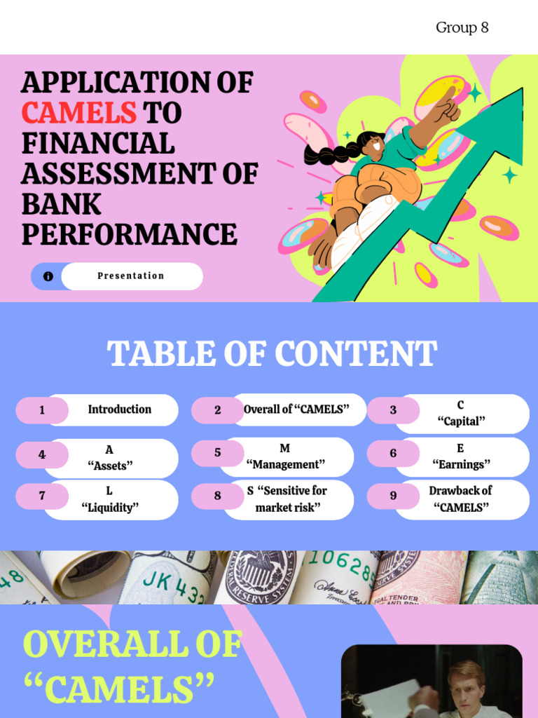 APPLICATION-OF-CAMELS-TO | PDF | Banks | Equity (Finance)
