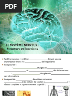 Rôle et anatomie du centre ovale cérébral | PDF | Cerveau | Cortex cérébral