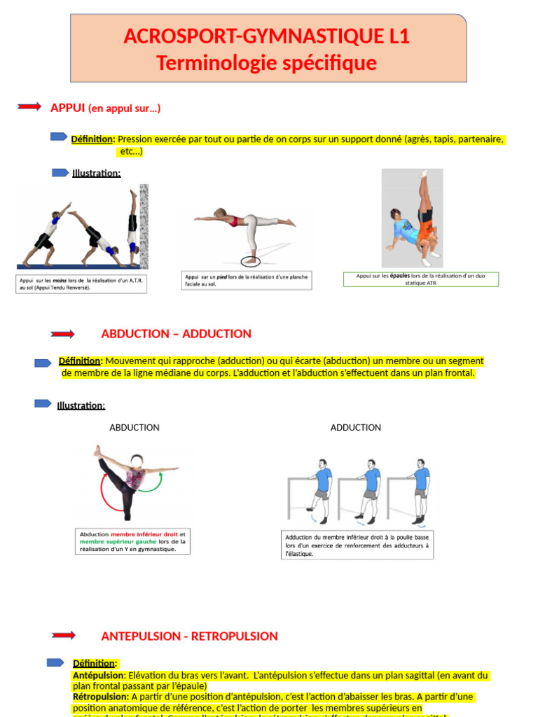 PP Terminologie Spécifique Gym-Acro | PDF | Articulation (anatomie)