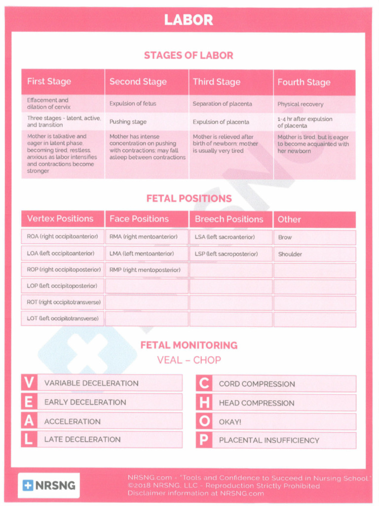 Labor Cheat sheet | PDF | Maternal Health | Obstetrics