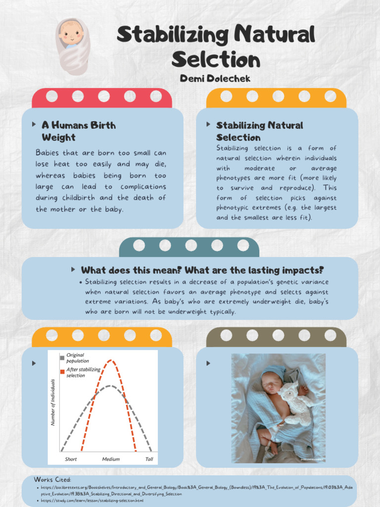Stabilizing Natural Selction | PDF