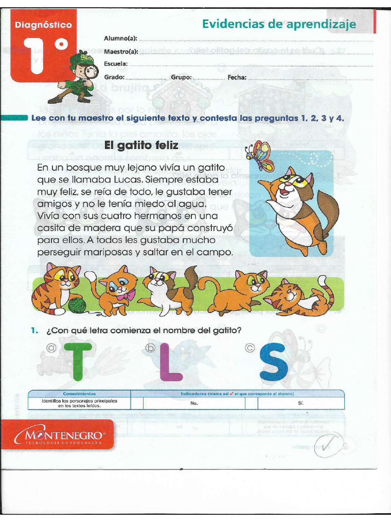 Evaluación 1° Primaria Diagnostico | PDF