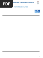 Understanding METAR Remark Codes | PDF | Cloud | Clouds, Fog And ...