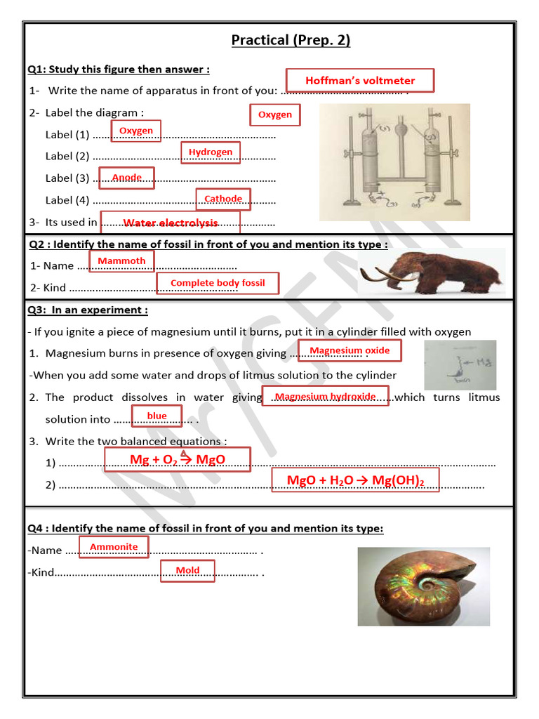 Practical Prep 2 (2024) | PDF | Science & Mathematics | Technology & Engineering
