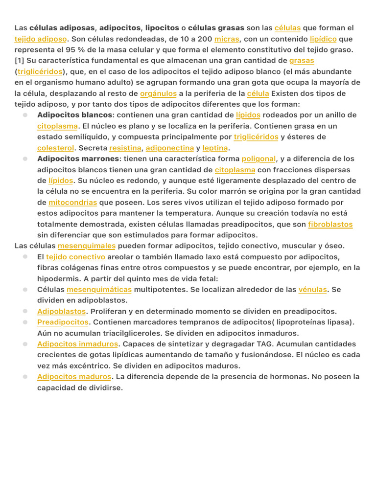 Las Células Adiposas, Adipocitos, Lipocitos o Células Grasas Son Las ...