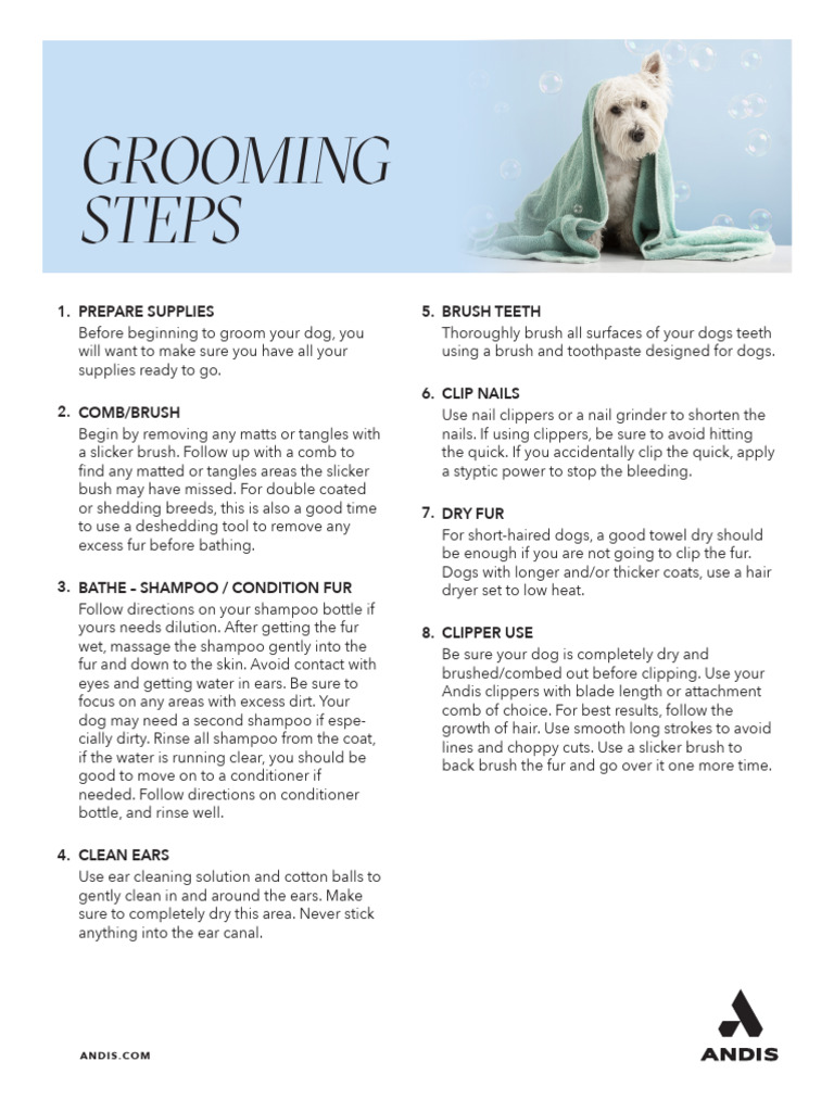 Dog Grooming Guide for Pet Owners | PDF | Hair | Dogs