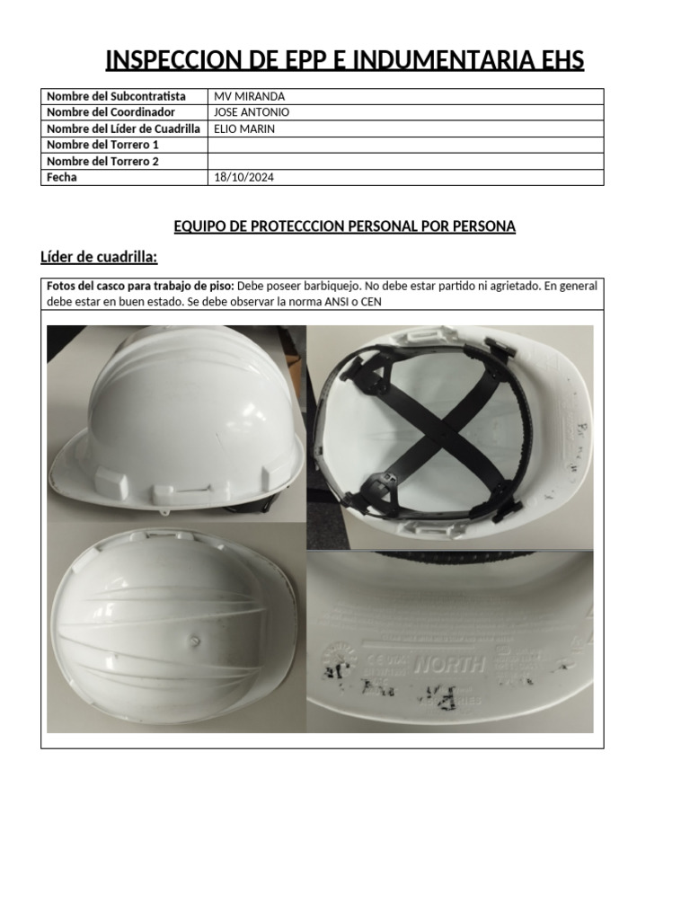 Inspeccion EPP e Indumentaria EHS Modelo | PDF | La seguridad | Seguridad Pública