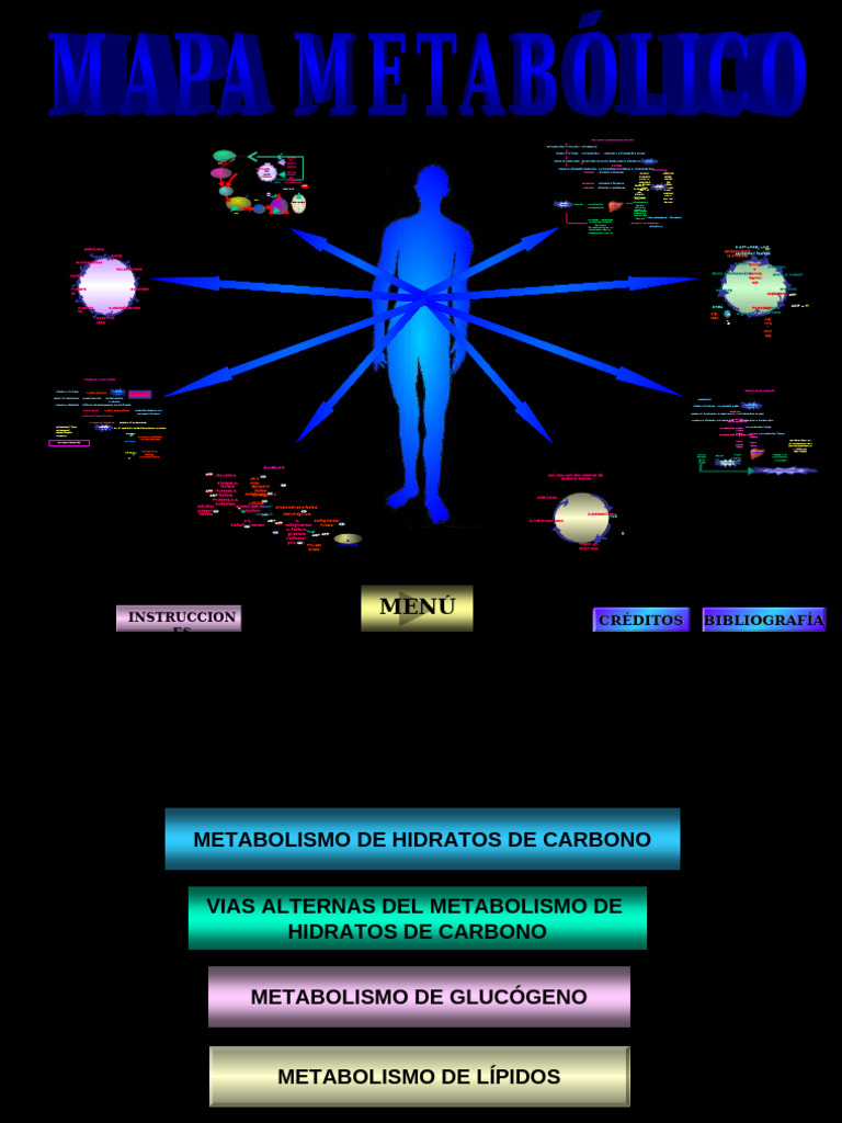 Mapa Metabolico | PDF | Digestión | Metabolismo