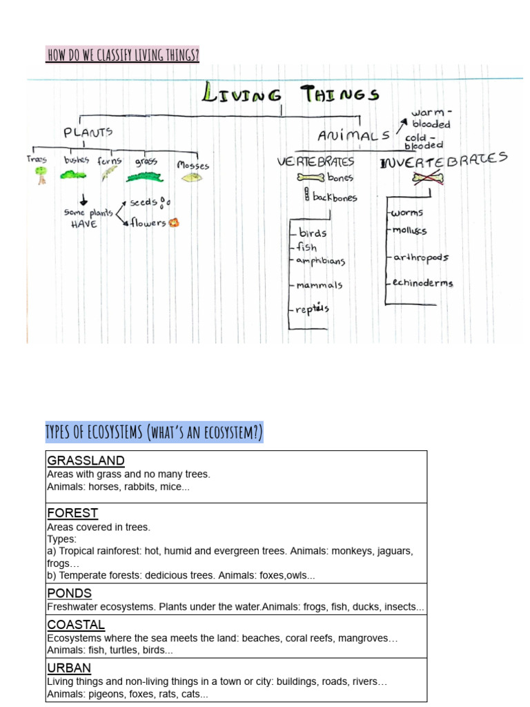 Unit 1 - Ecosystems | PDF | Ecosystem | Rainforest