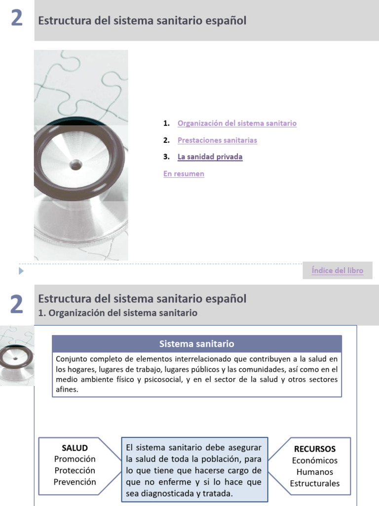 Tema 2 Estructura Del Sistema Sanitario Español | PDF | Sistema de salud | Economias
