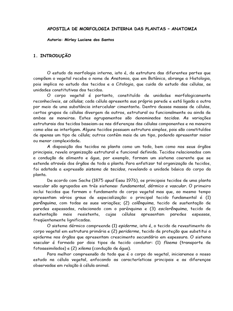 Apostila Anatomia e Morfologia_Célula Vegetal, Tecidos e Anatomia Dos ...