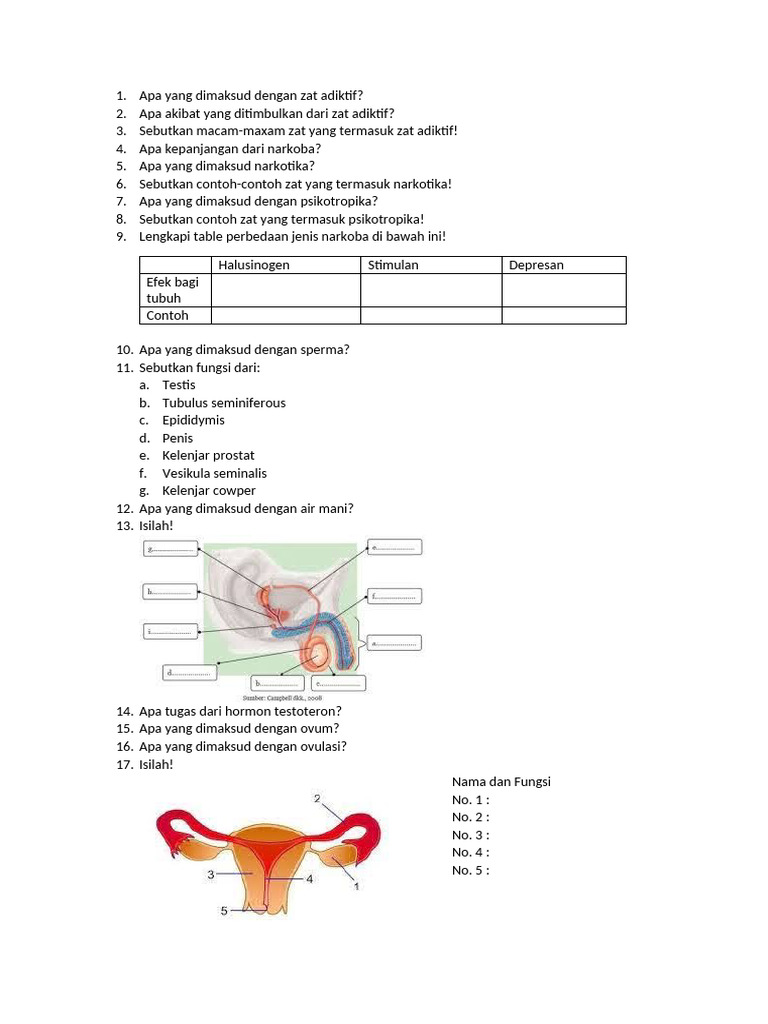 Soal Ipa Kelas 9 Kurmer | PDF | Kesehatan Holistik