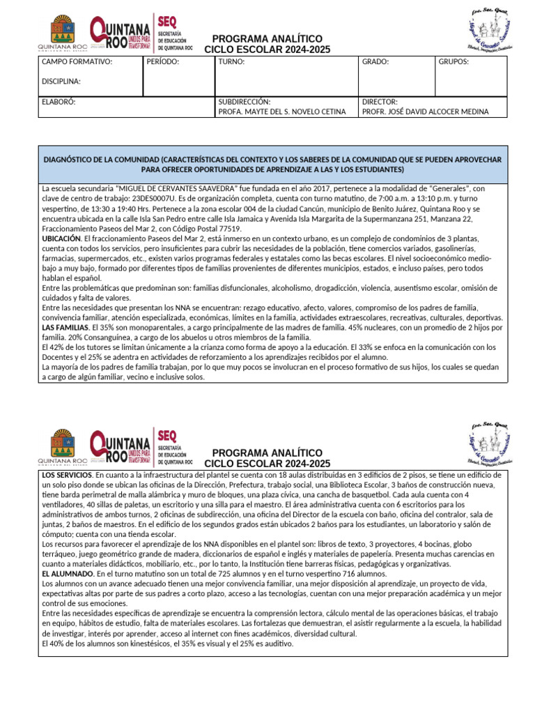 Formato para El Prog. Analitico | PDF | Aprendizaje