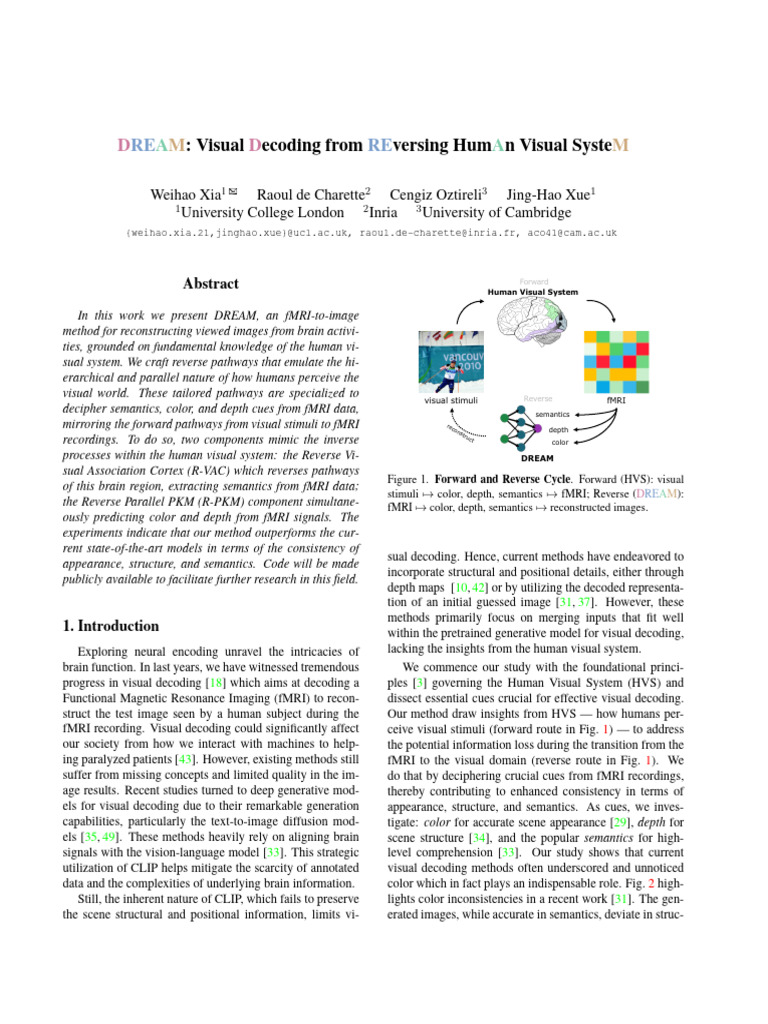 Dream | PDF | Visual System | Functional Magnetic Resonance Imaging