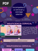 Protocolo de Cerclaje Cervical | PDF | Parto | El embarazo