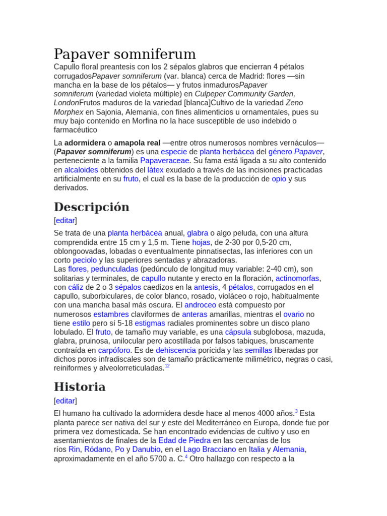 Papaver Somnifer | PDF | Plantas