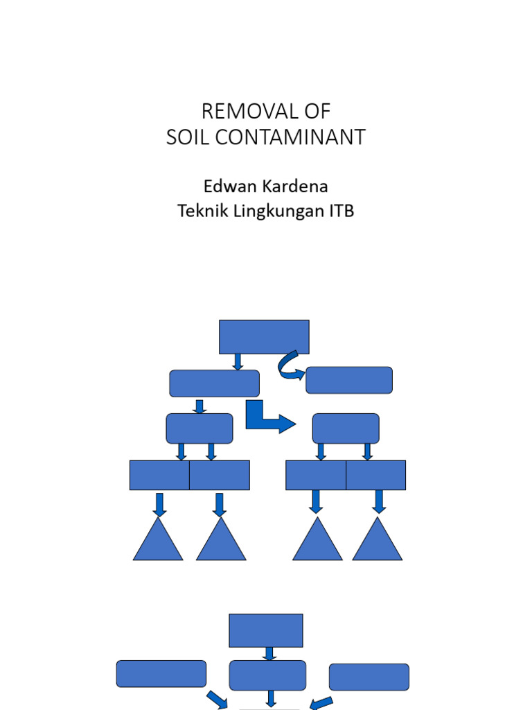 Removal of Soil Contaminant | PDF