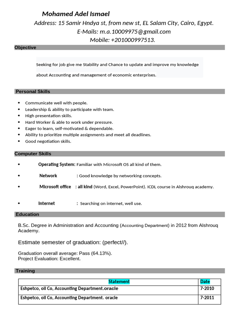 Mohamed Adel 2021.CV | PDF