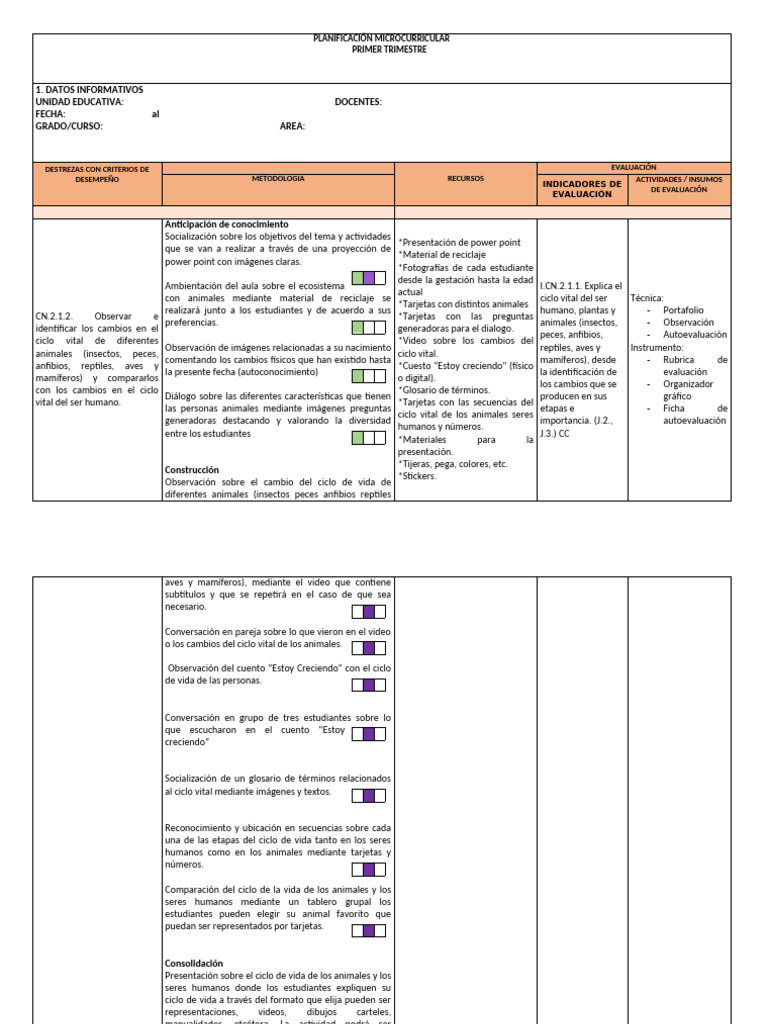 Planificacion Microcurricular Dua - 3er0 Egb | PDF | Evaluación