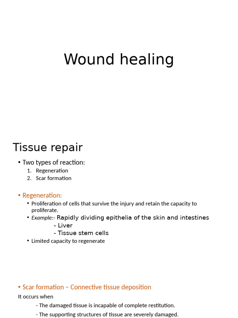 Wound Healing Pdf Wound Healing Angiogenesis