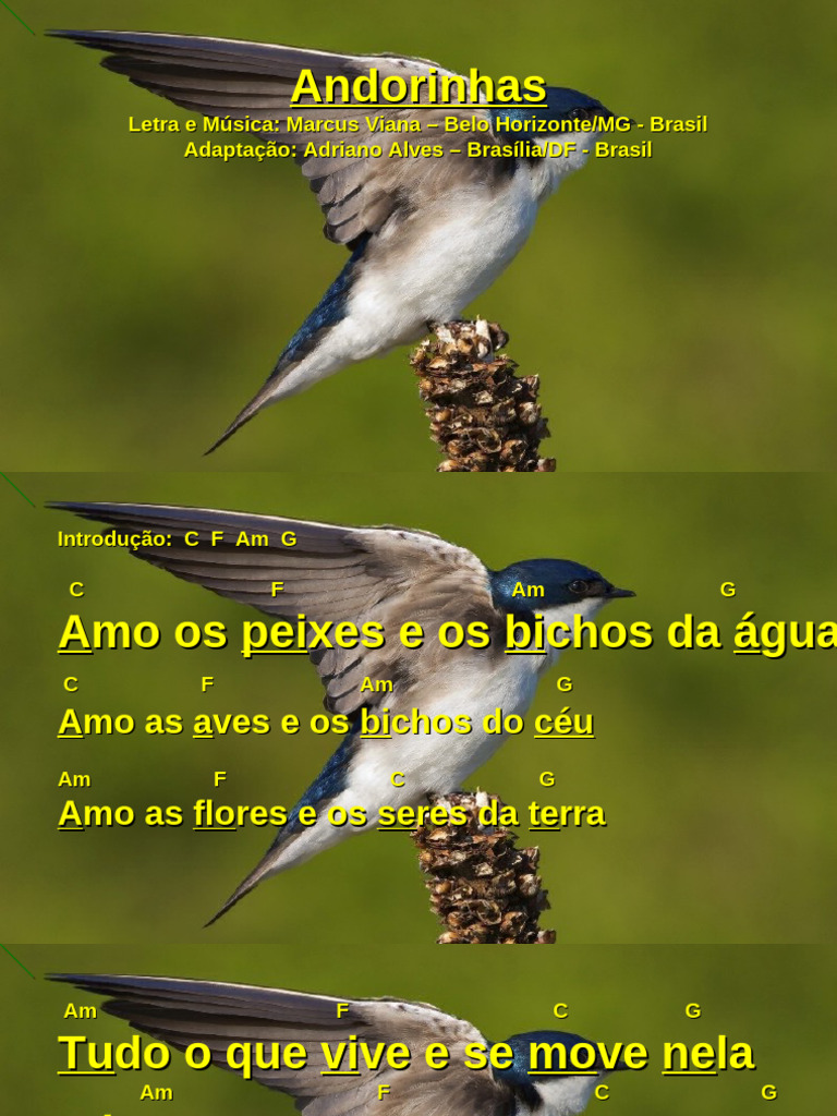 Letra de "Andorinhas" por Marcus Viana | PDF