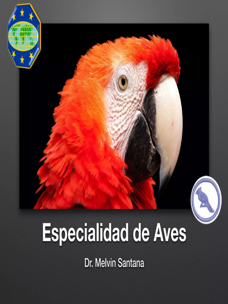 especialidad de aves presentacion | PDF