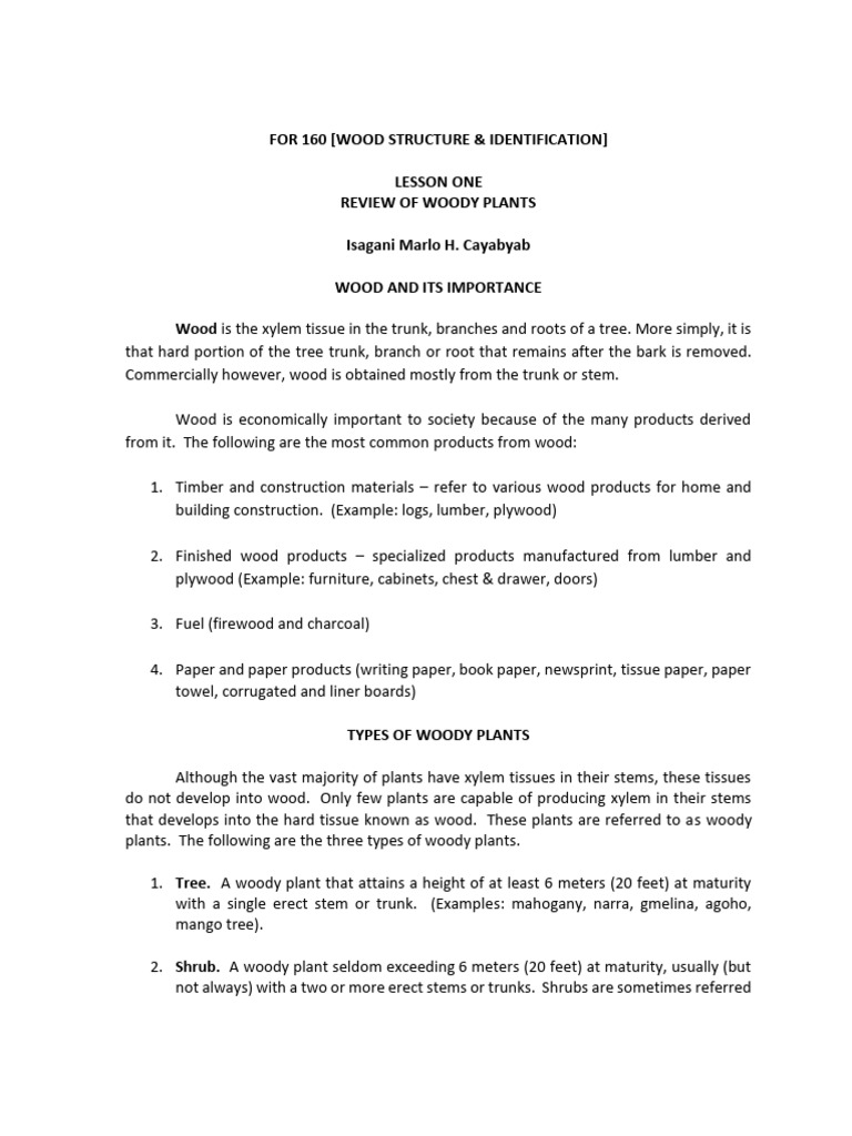 Overview of Woody Plants and Their Types | PDF | Plant Stem | Wood