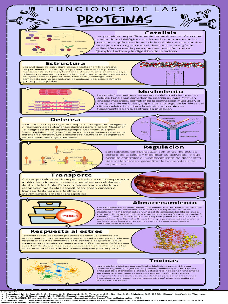 Funciones y Estructura de las Proteínas | PDF | Proteínas | Biología ...