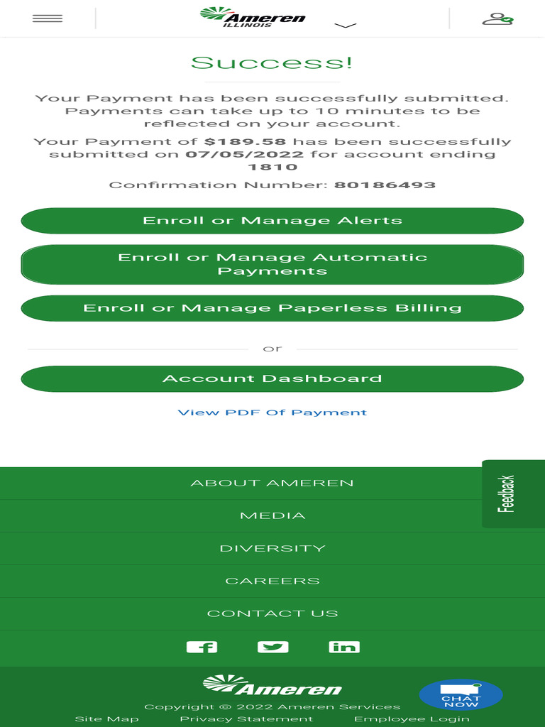 Bank Statement Success | PDF