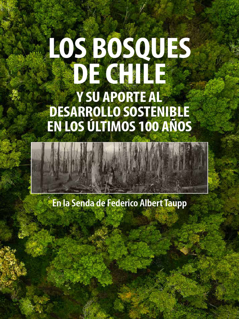 Bosques de Chile y Desarrollo Sostenible | PDF | Los bosques | Chile