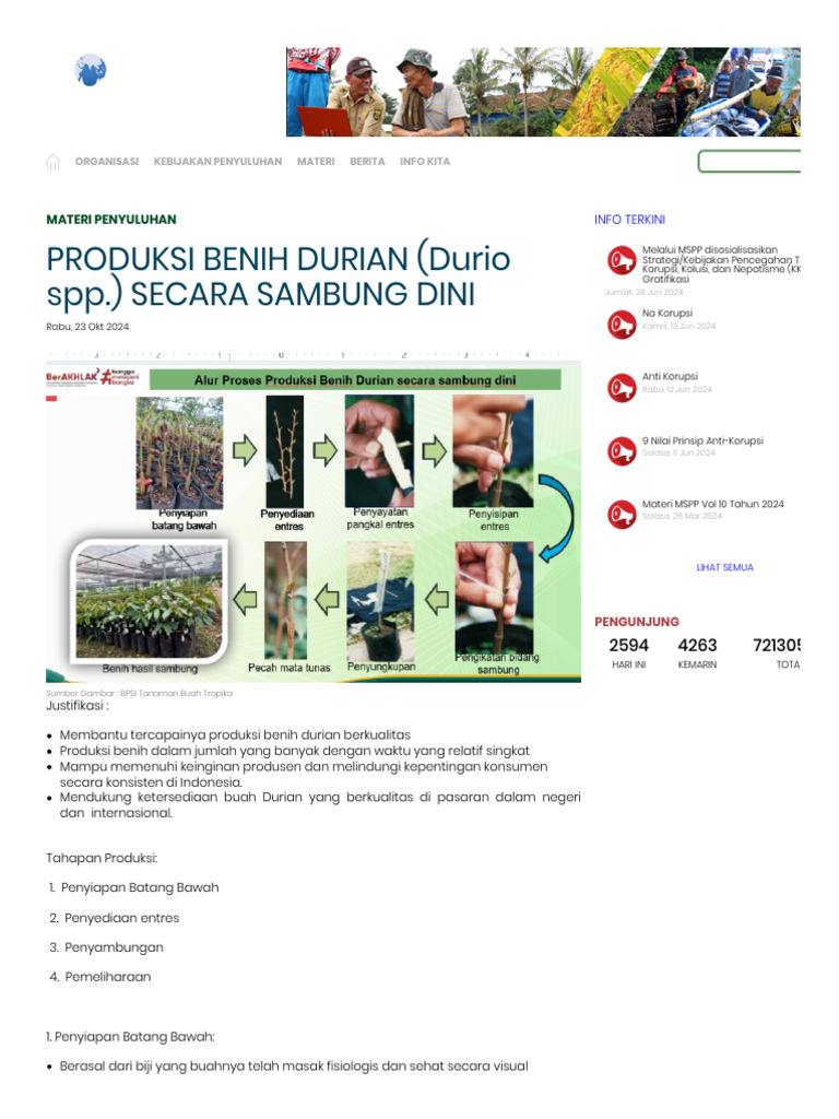 PRODUKSI BENIH DURIAN (Durio SPP.) SECARA SAMBUNG DINI | PDF