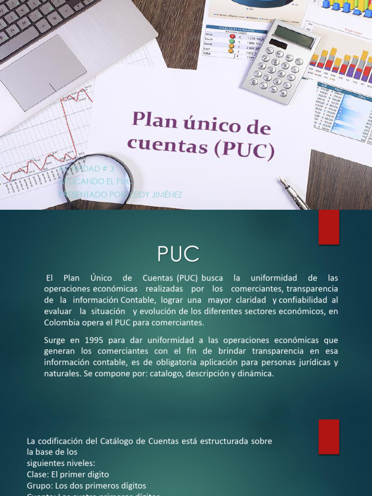 Plan Unico de Cuentas | PDF | Contabilidad | Business